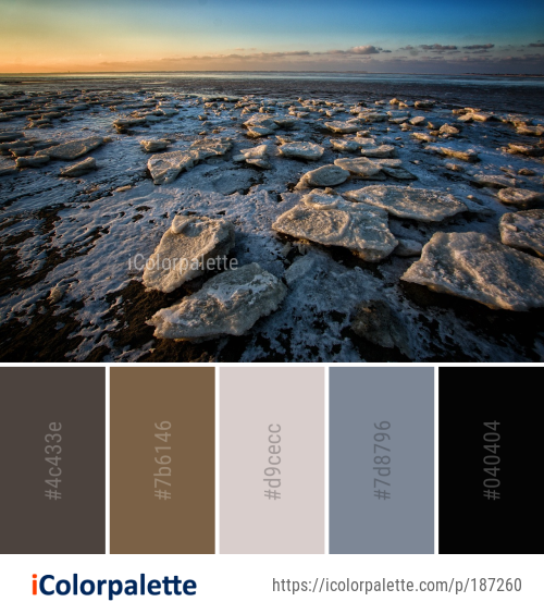 Color Palette Ideas from Shore Rock Sea Image | iColorpalette
