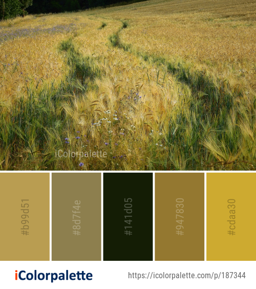 Color Palette Ideas from Ecosystem Grassland Field Image | iColorpalette