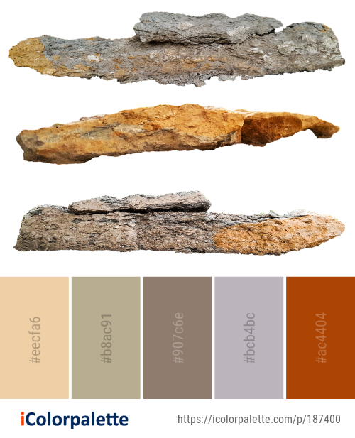 Color Palette Ideas from Rock Wood Bedrock Image | iColorpalette