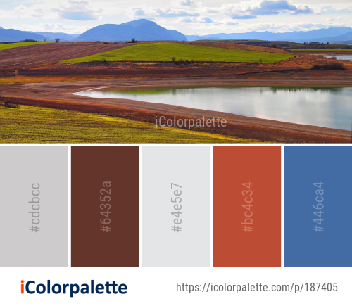 Color Palette Ideas from Highland Field Grassland Image | iColorpalette