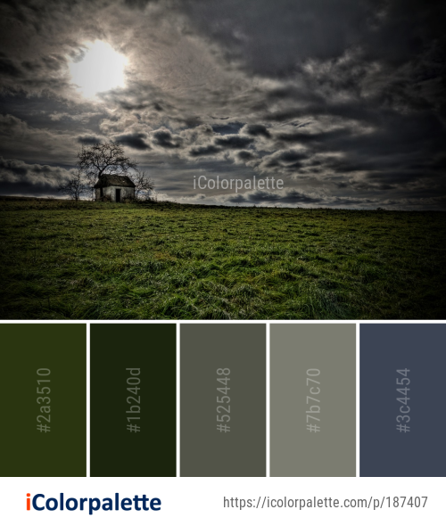 Color Palette Ideas from Sky Cloud Nature Image | iColorpalette