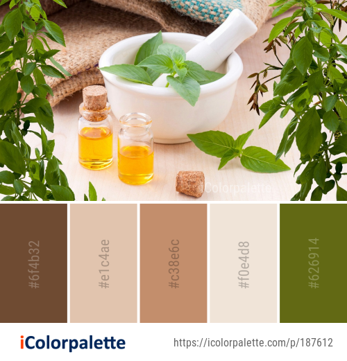 Color Palette Ideas from Plant Product Herb Image | iColorpalette