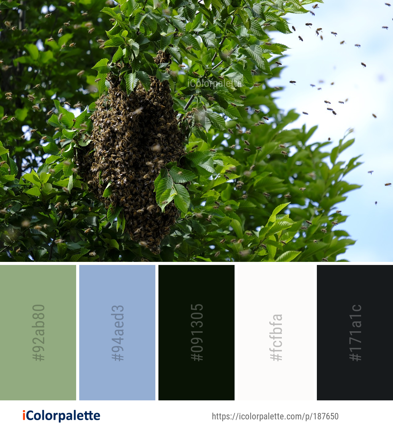 Color Palette Ideas from Bee Pollinator Tree Image | iColorpalette