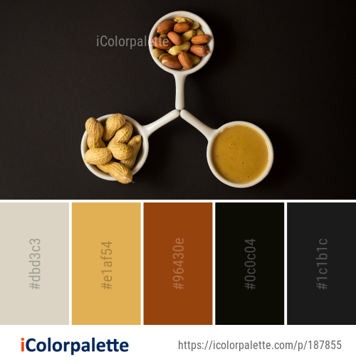Color Palette Ideas from Spoon Tableware Cutlery Image | iColorpalette