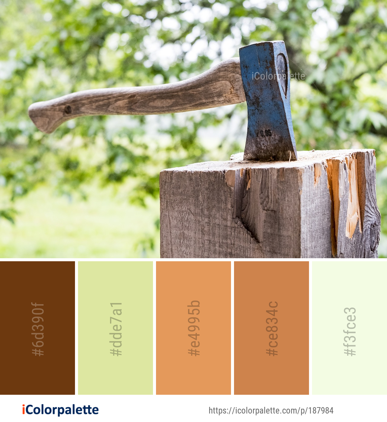 Color Palette Ideas from Wood Tree Trunk Image | iColorpalette