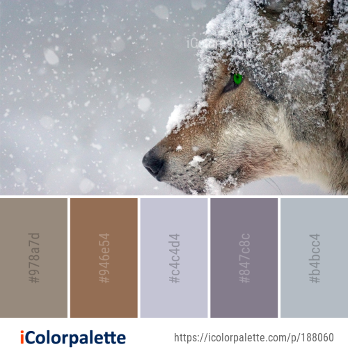 wolf – Page 2 – iColorpalette
