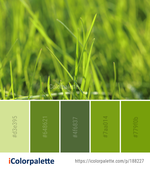 Color Palette Ideas from Green Grass Grassland Image | iColorpalette