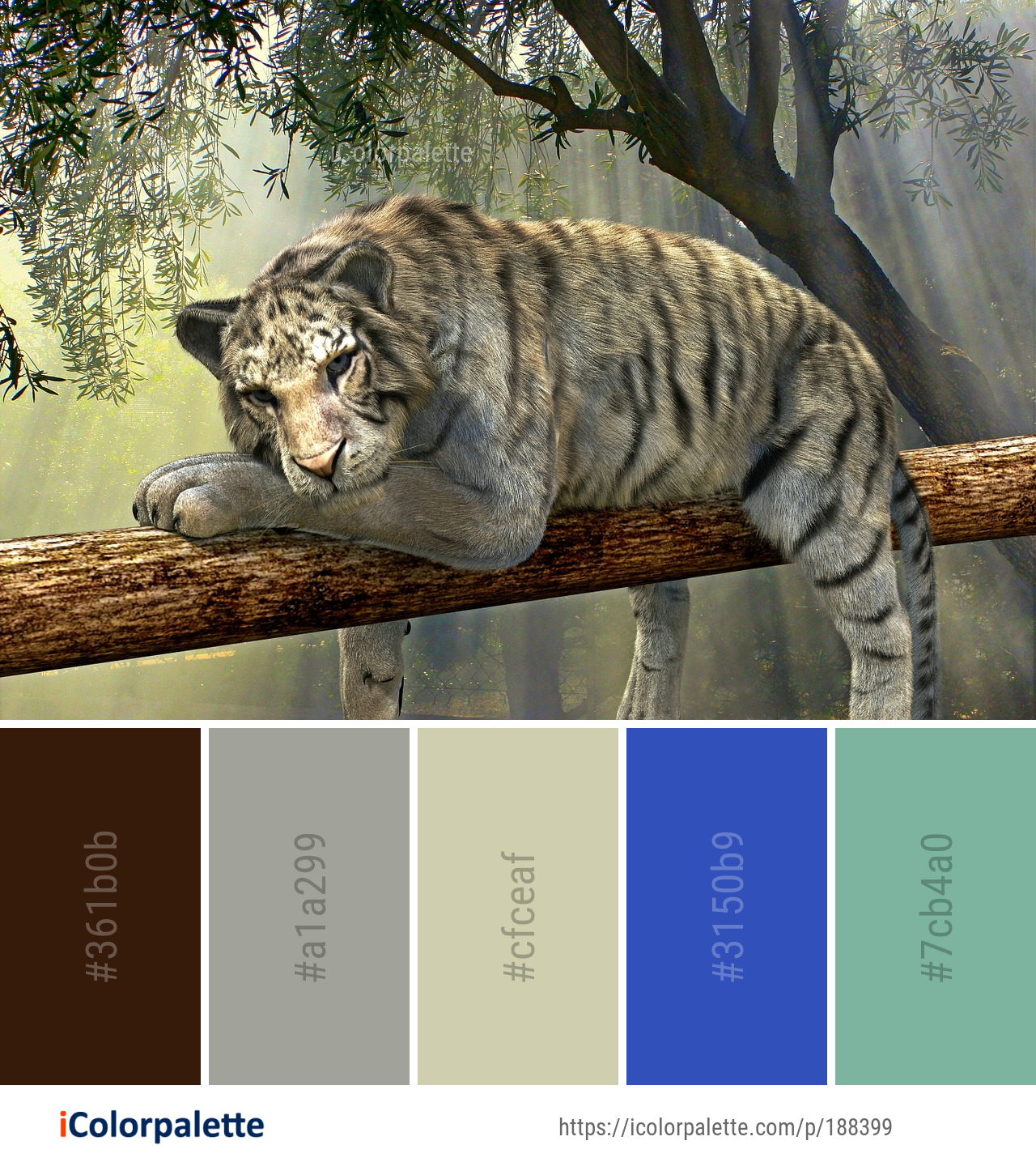 Color Palette Ideas from Tiger Fauna Wildlife Image | iColorpalette