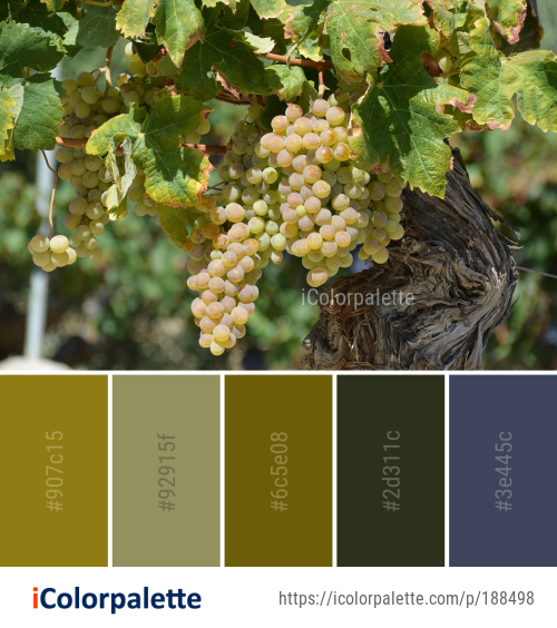 57+ Grape Color Palette ideas in 2025 | iColorPalette