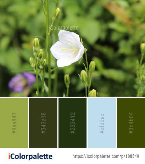Color Palette Ideas from Flower Plant Flora Image | iColorpalette