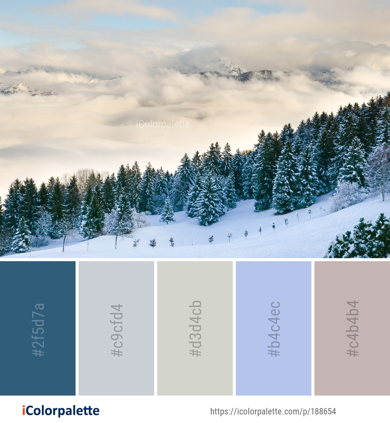 Color Palette Ideas from Winter Sky Snow Image | iColorpalette