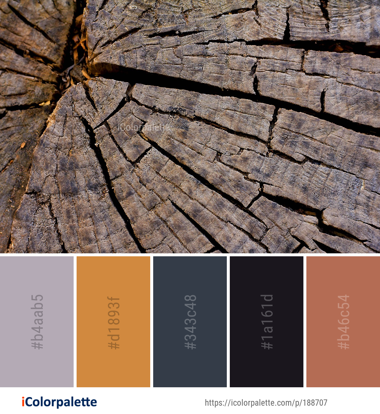 Color Palette Ideas from Wood Tree Trunk Image | iColorpalette