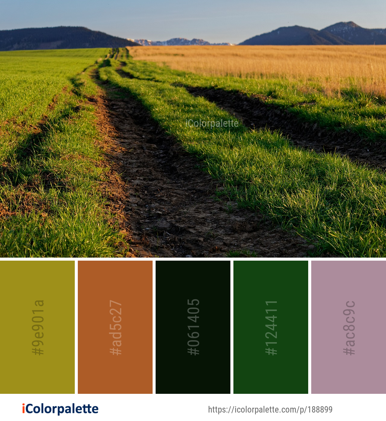 Color Palette Ideas from Field Crop Sky Image | iColorpalette