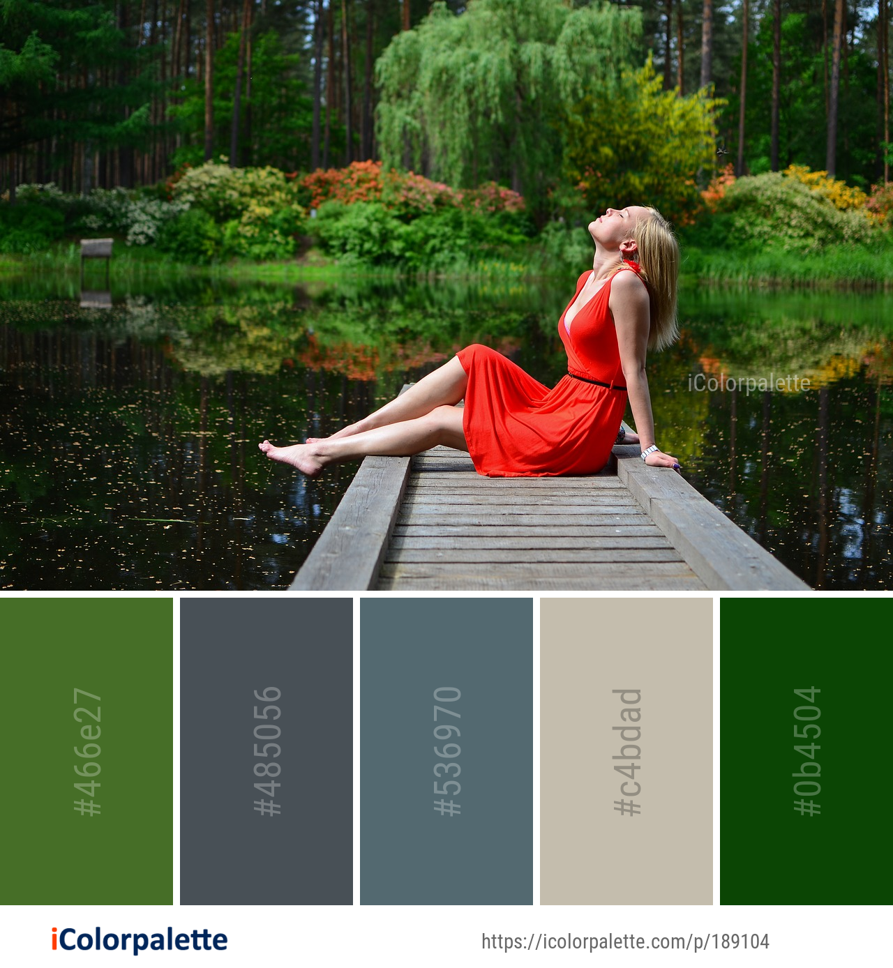 Color Palette Ideas from Water Green Nature Image | iColorpalette