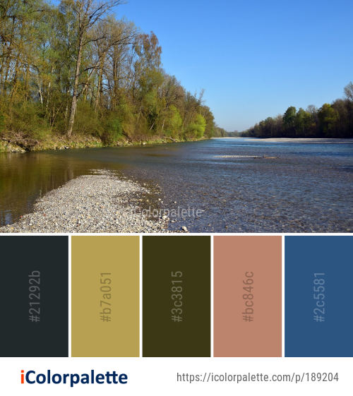 Color Palette Ideas from River Water Nature Image | iColorpalette