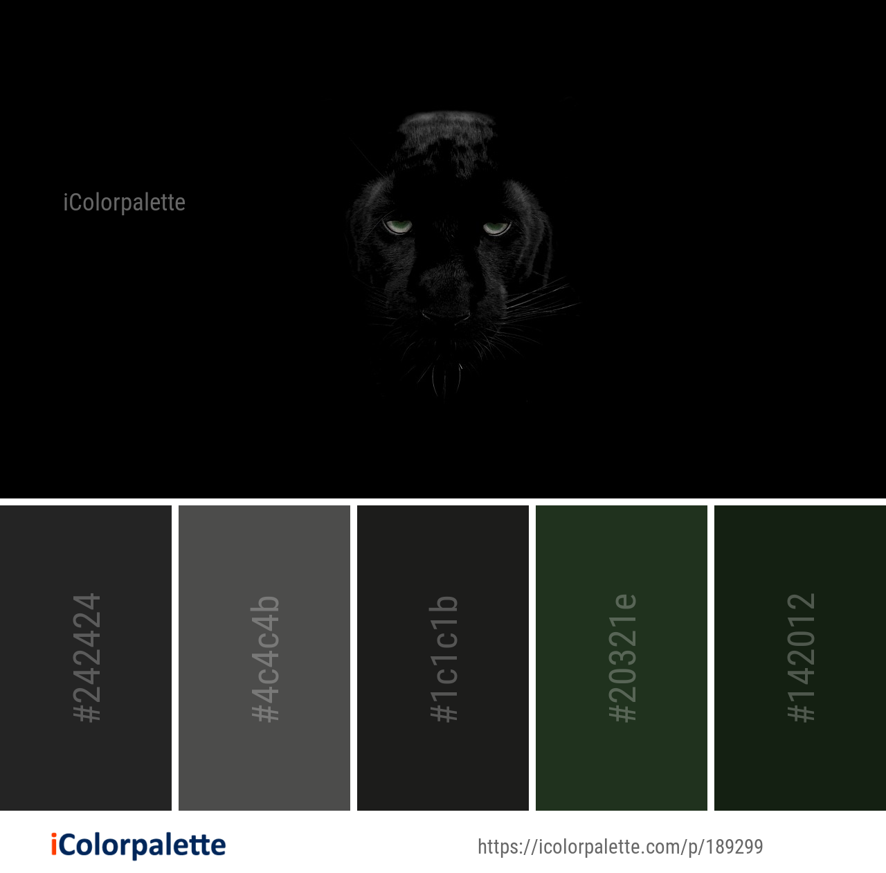 19 Puma Color Palette ideas in 2025 | iColorpalette