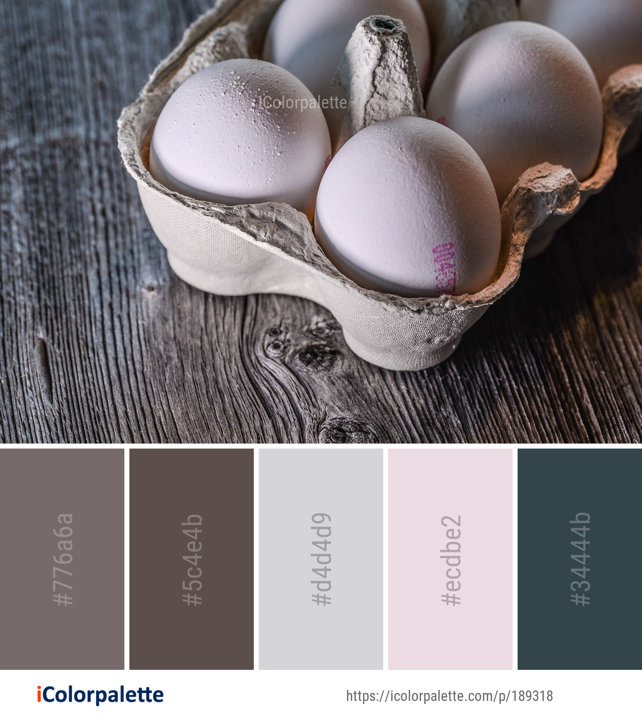 51+ Egg Color Palette ideas in 2025 | iColorPalette