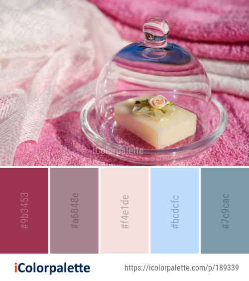 Color Palette Ideas from Pink Sweetness Image | iColorpalette