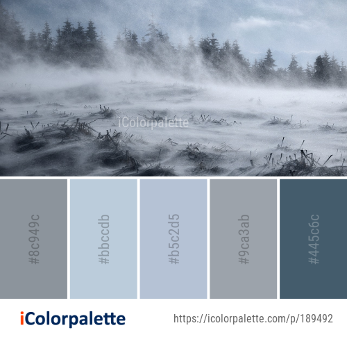 Color Palette Ideas from Fog Mist Tree Image | iColorpalette