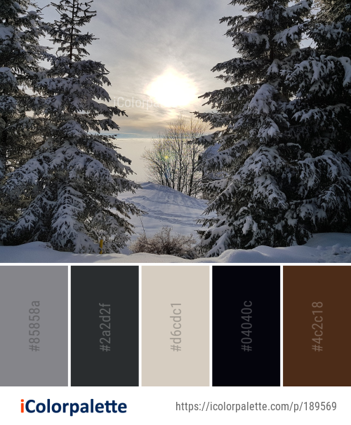 Color Palette Ideas from Snow Winter Sky Image | iColorpalette