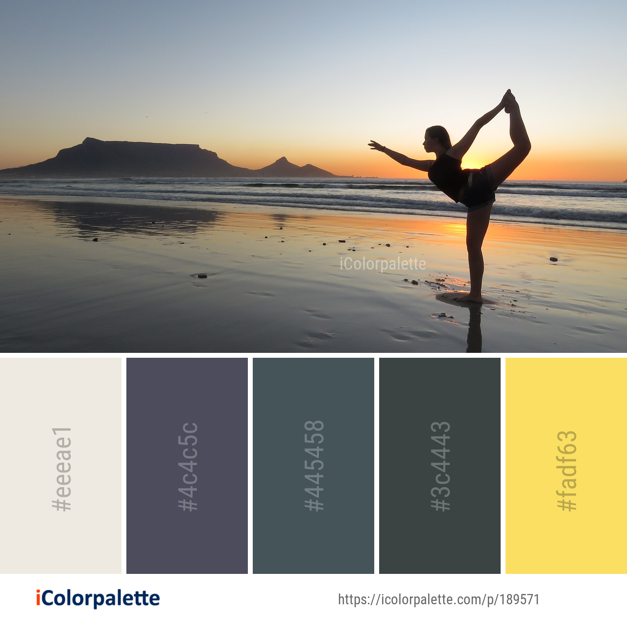 12+ Physical Fitness Color Palette ideas in 2025 | iColorPalette
