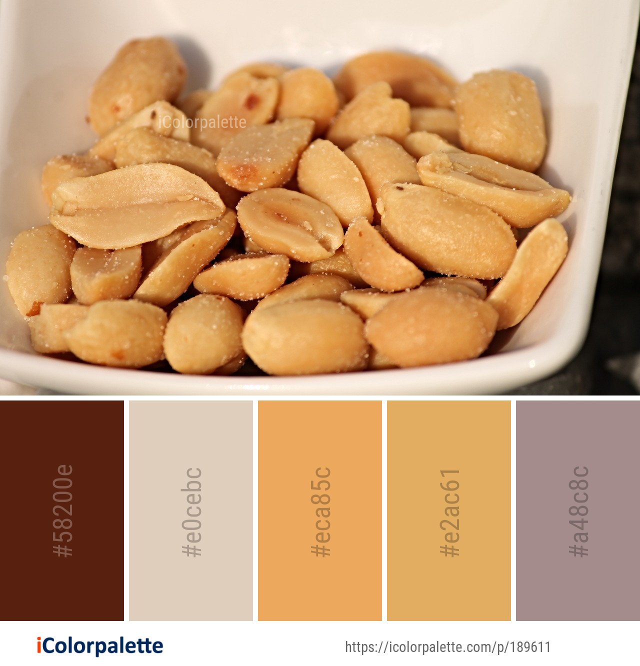 20 Nut Color Palette ideas in 2025 | iColorpalette