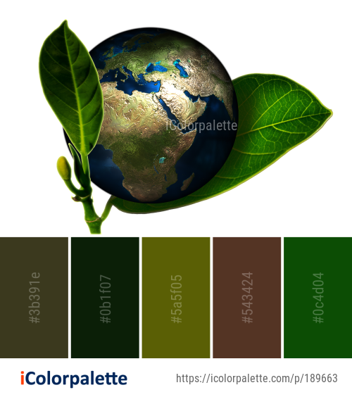 Color Palette Ideas from Earth Globe World Image | iColorpalette