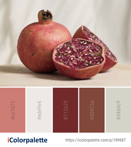 14+ Pomegranate Color Palette ideas in 2025 | iColorPalette