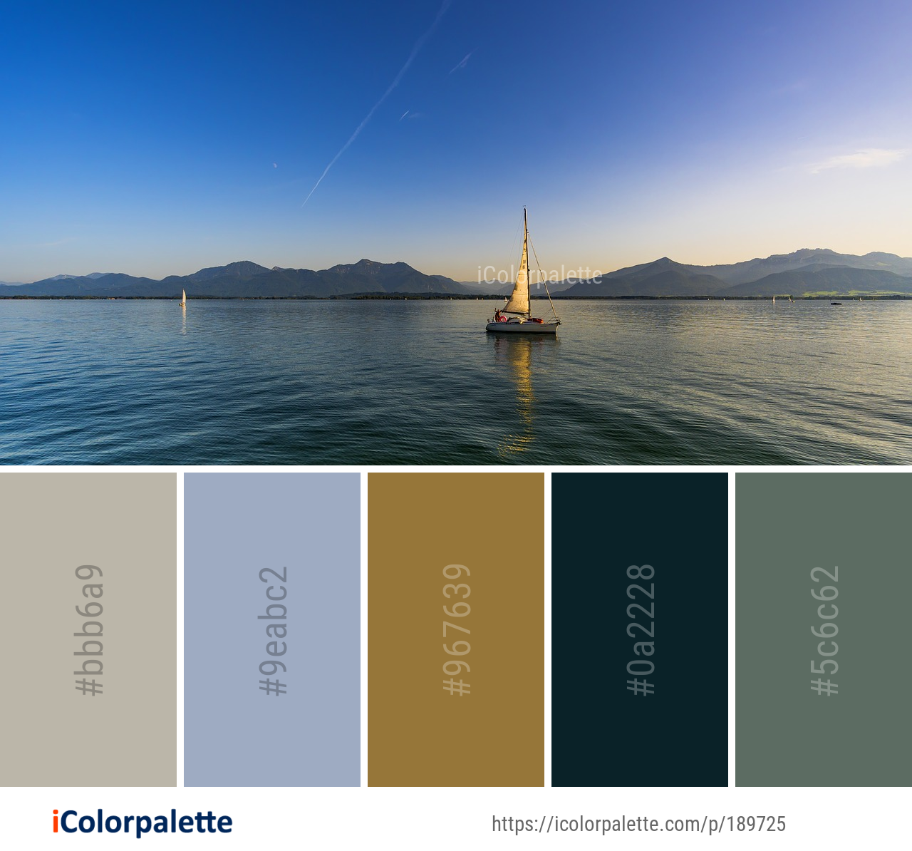 16 Sailing Color Palette ideas in 2025 | iColorpalette