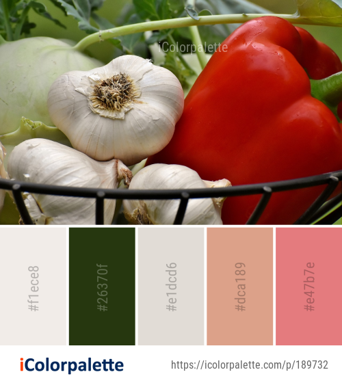 Color Palette Ideas from Natural Foods Vegetable Local Food Image ...