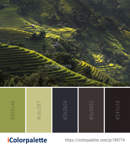 21 Terrace Color Palette ideas in 2025 | iColorpalette