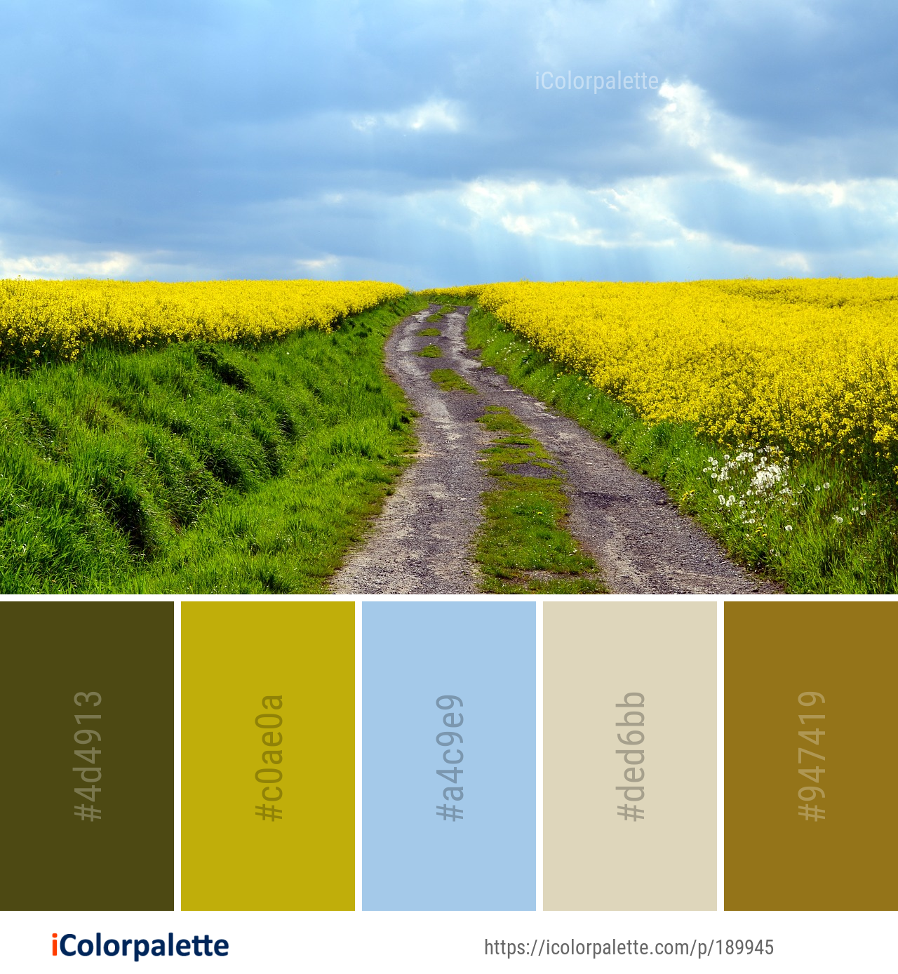 Color Palette Ideas from Yellow Rapeseed Field Image | iColorpalette