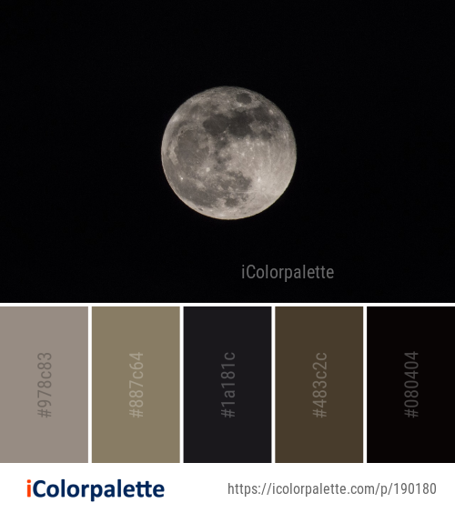 Color Palette Ideas from Moon Black Nature Image | iColorpalette