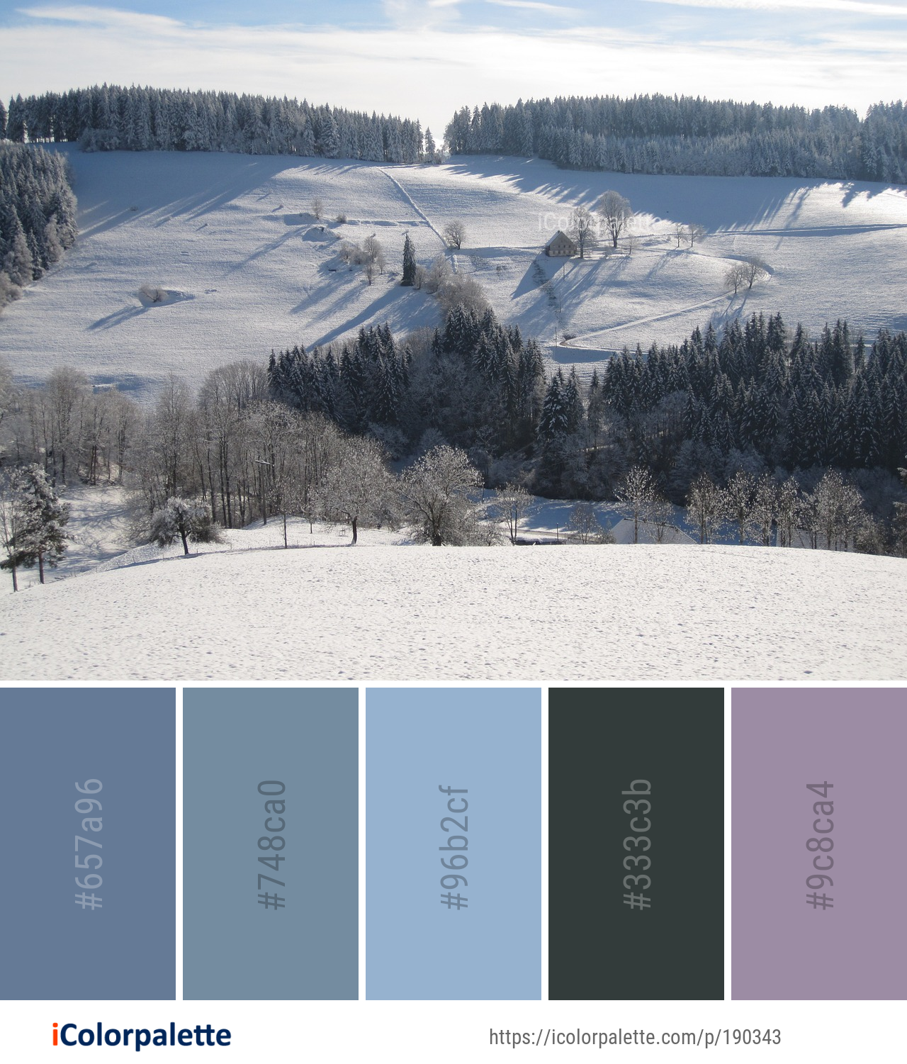 Color Palette Ideas from Winter Snow Freezing Image | iColorpalette