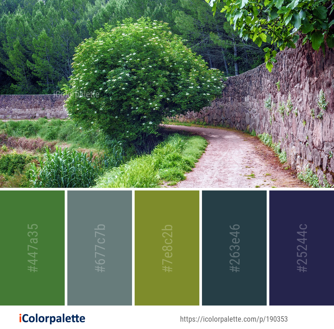 Color Palette Ideas from Vegetation Tree Plant Image | iColorpalette
