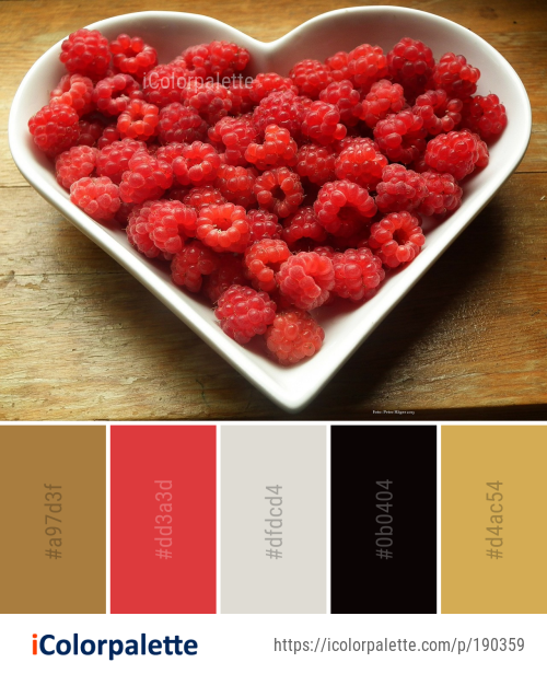 30+ Cranberry Color Palette ideas in 2025 | iColorPalette