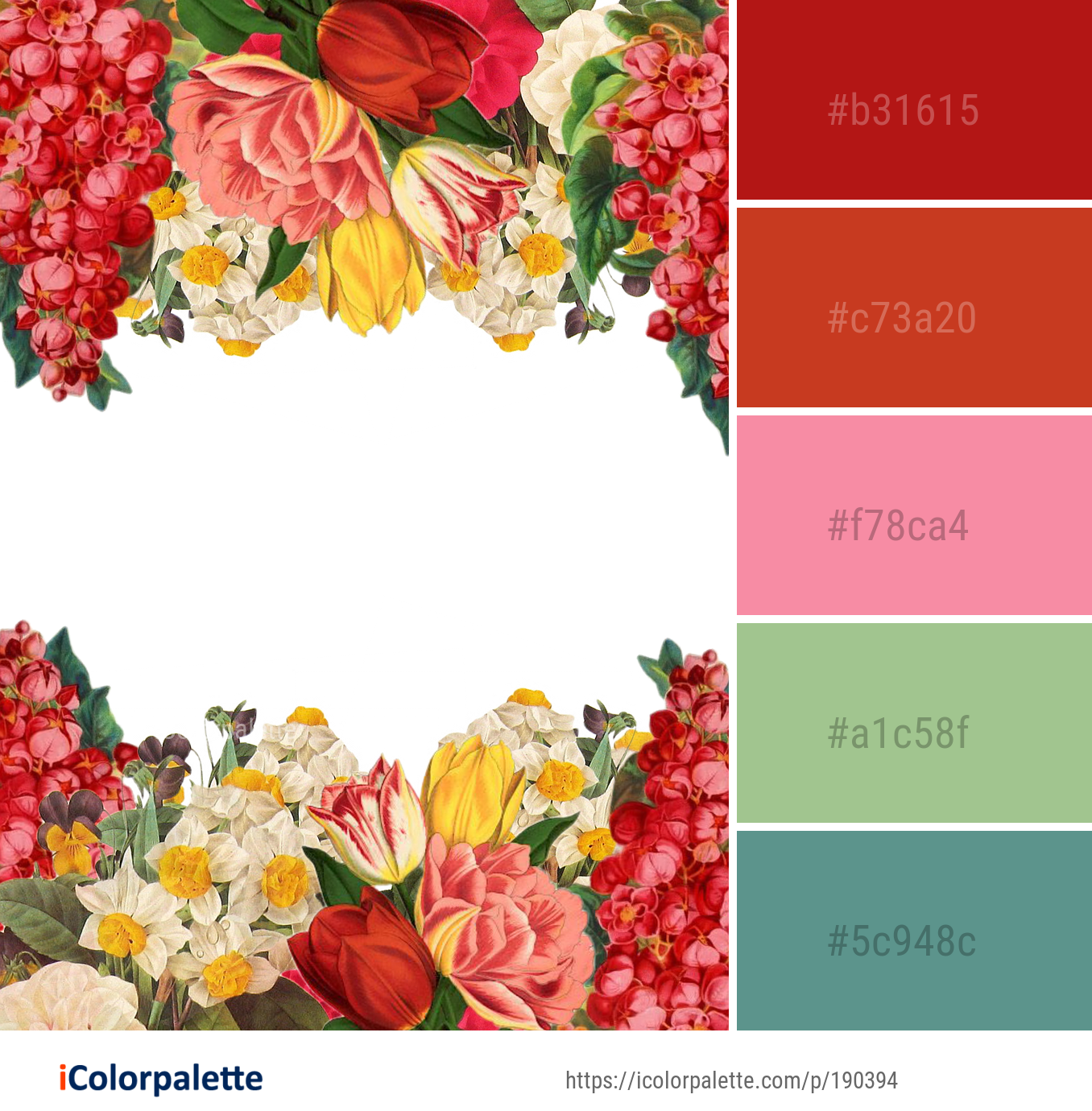 Color Palette Ideas from Flower Flowering Plant Arranging Image ...