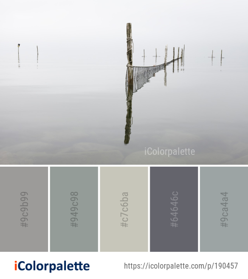 10 Trident Color Palette ideas in 2025 | iColorpalette