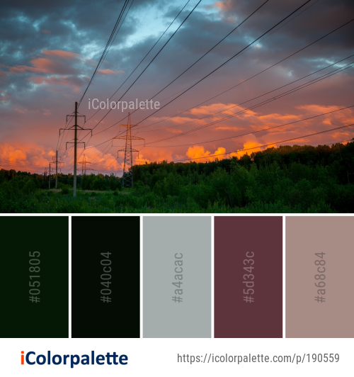 20+ Electricity Color Palette ideas in 2026 | iColorPalette