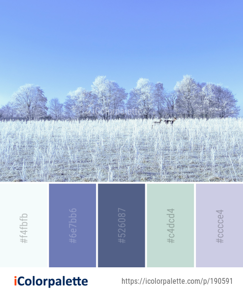 Color Palette Ideas from Winter Frost Sky Image | iColorpalette
