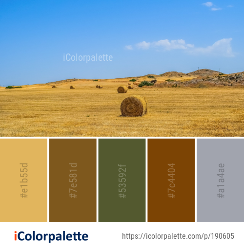 Color Palette Ideas from Grassland Sky Field Image | iColorpalette