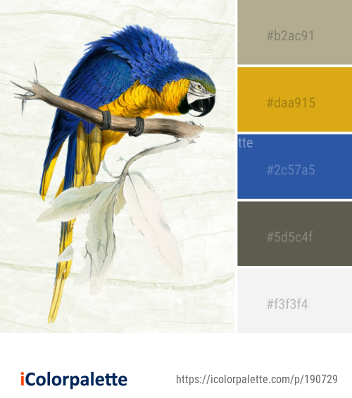 Color Palette Ideas from Macaw Bird Beak Image | iColorpalette Color Palette Ideas from Macaw Bird Beak Image | iColorpalette