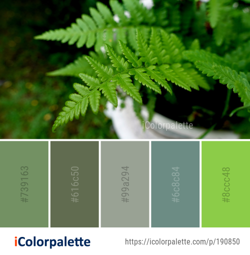 Color Palette Ideas from Vegetation Plant Leaf Image | iColorPalette