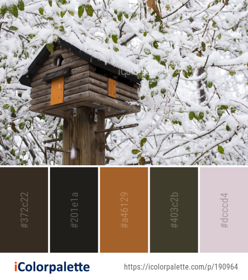 Color Palette Ideas from Snow Winter Tree Image | iColorPalette