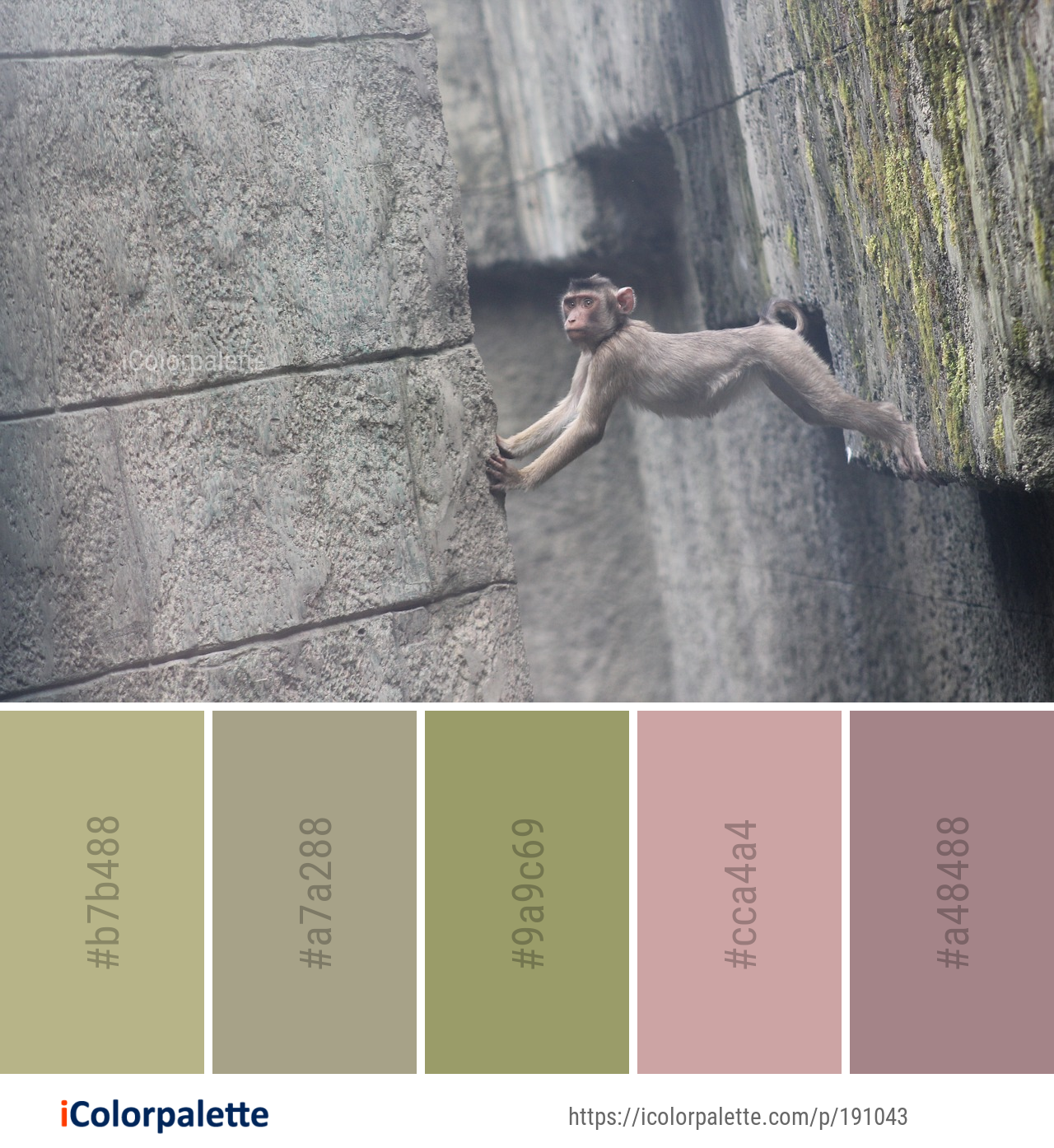136 Adventure Color Palette ideas in 2025 | iColorpalette