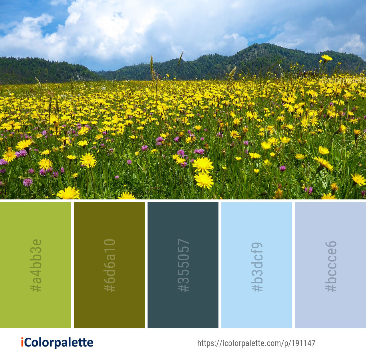 Color Palette Ideas from Flower Grassland Meadow Image | iColorpalette
