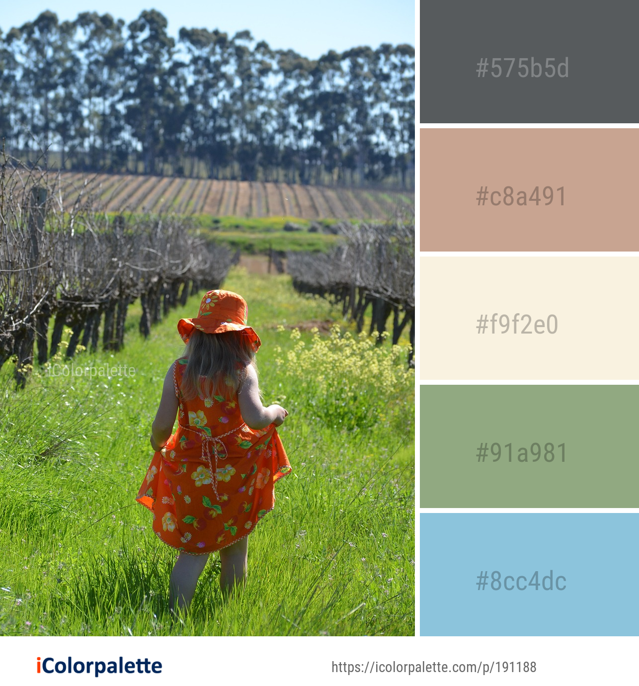 Color Palette Ideas from Field Grass Agriculture Image | iColorpalette