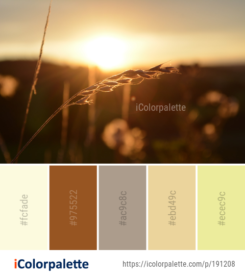 Color Palette Ideas from Sun Sky Sunlight Image | iColorPalette