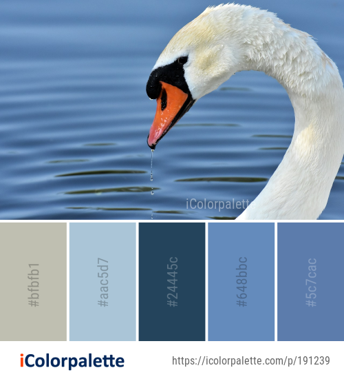 Color Palette Ideas from Bird Swan Beak Image | iColorpalette