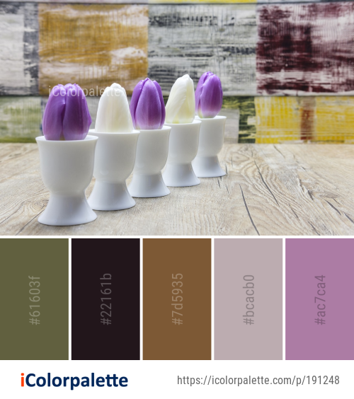 Color Palette Ideas from Purple Flooring Floor Image | iColorPalette